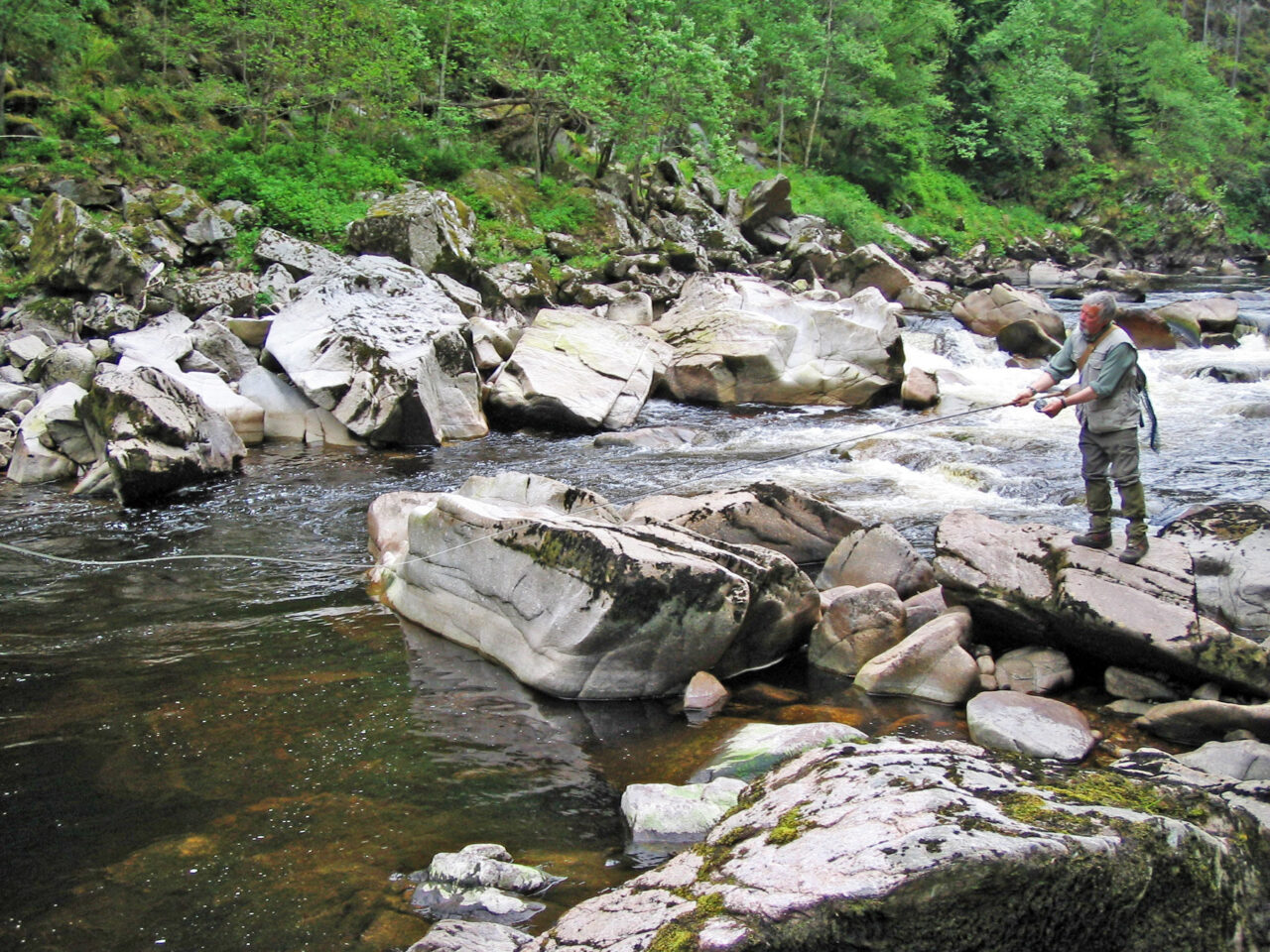 Lethen Estate - Plexus Media Ltd